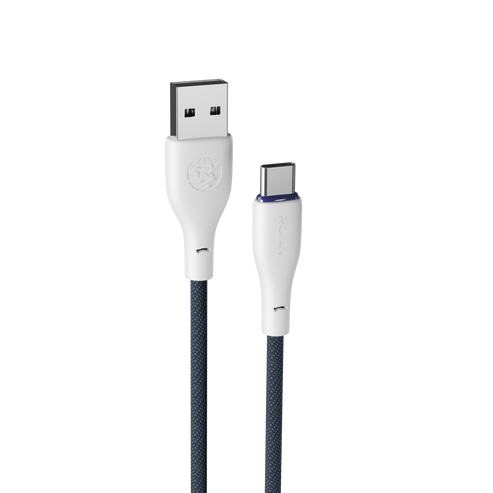 R-2025 Type-C Cable – Ronin
